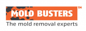 Mold Busters | Canadian Real Estate Investors | PREIG Canada